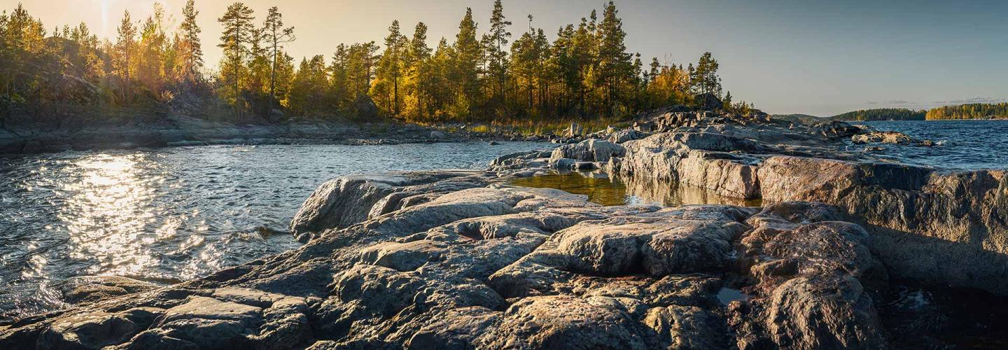 Account Logins | Corrigan Financial, Inc.